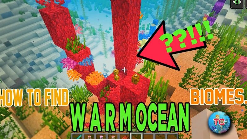 How To Find Warm Ocean Biome in Minecraft[1.15.2] - Смотреть онлайн в ...