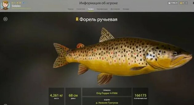 рр4 река Нижняя Тунгуска Форель Ручьевая на Orig Popper 4-F006. Brook ...