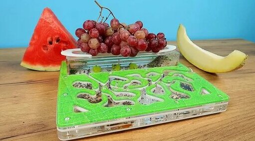 Что выберут Муравьи: Арбуз, Дыню или Виноград? Эксперимент с муравьями ...