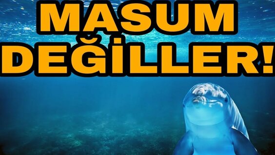 yunus balığı çizimi yunus suresi: 914 video Yandex'te bulundu