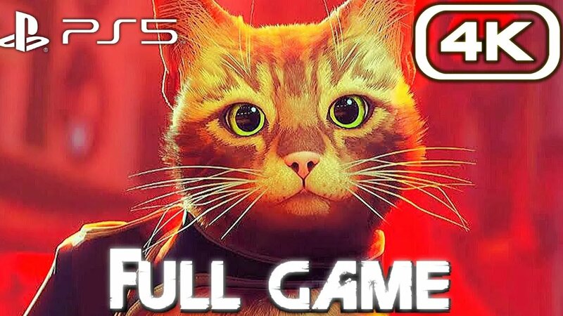 Stray PS5 Gameplay Walkthrough FULL GAME (4K 60fps) No Commentary ...