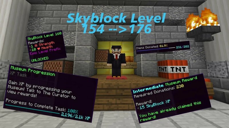 Fastest Museum Completion Guide (Hypixel Skyblock Levels) - Yandex ...