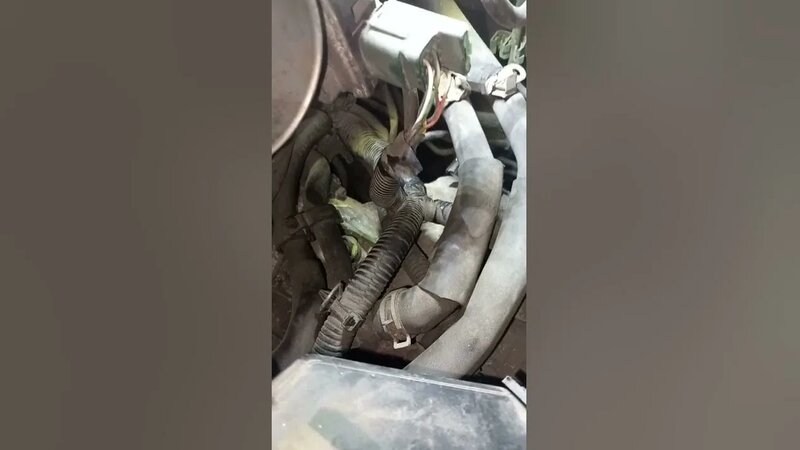 Nissan Primera 2007,2.0 gasoline. Input speed sensor.P0715, P1715 ...