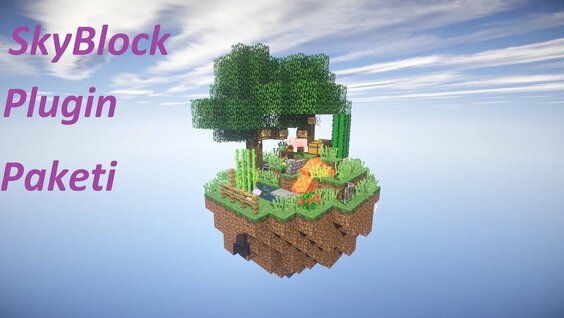 minecraft skyblock plugin: 1 bin video Yandex'te bulundu