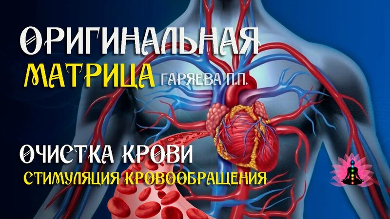 Стимуляция кровообращения Оригинальная программа матрица по технологии Гаряева SoftRadio.ru ...