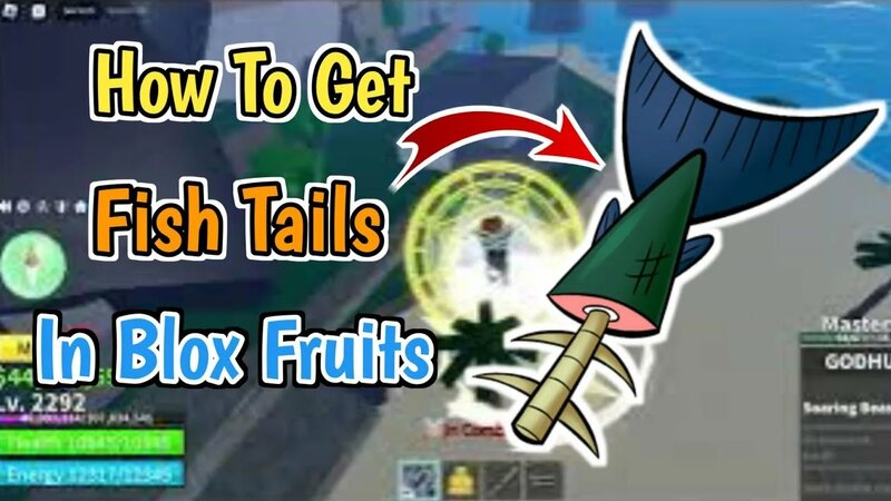 How To Get Fish Tails In Blox Fruits I Where To Get Fish Tails In Blox ...