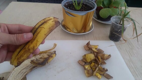 bitki boyama: 709 video Yandex'te bulundu