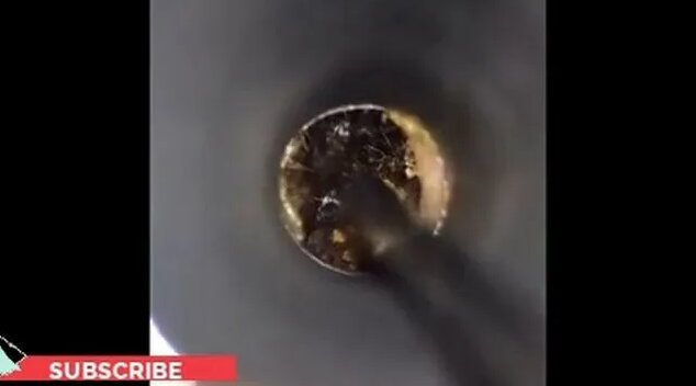 Botfly removal from animals satisfying botfly larvae removal from ...