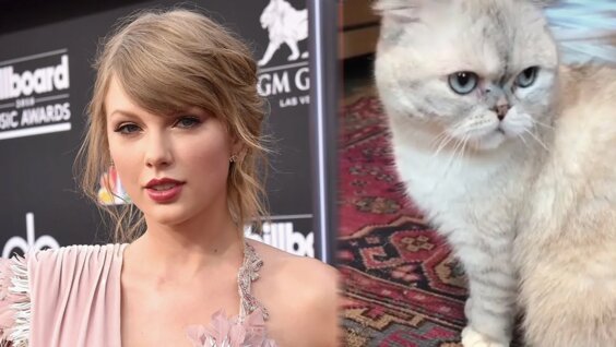 taylor swift meredith: 1 bin video Yandex'te bulundu