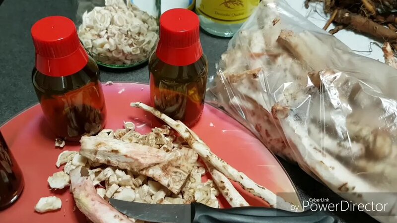 KARA HiNDiBA KÖKÜ Kanser Tentürü Nasil Yapilir iLACINI KENDiN YAP ...