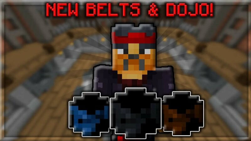 NEW DOJO & BELT Changes! (Nether Update) | Hypixel Skyblock - YouTube ...