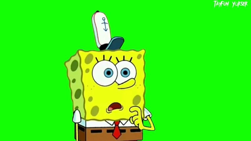 Smug Sponge Bob Green Screen /smug spongebob green screen after effects ...