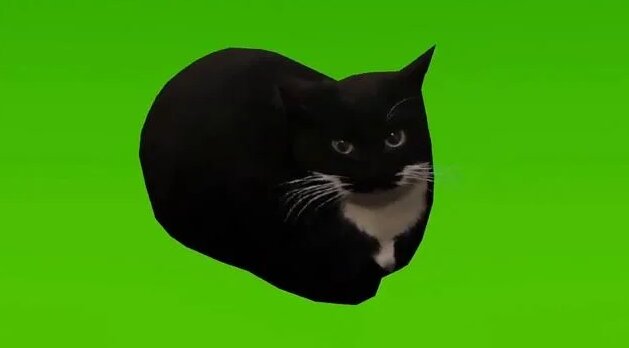 Maxwell the cat is dancing green screen mem Максвелл кот танцует на ...