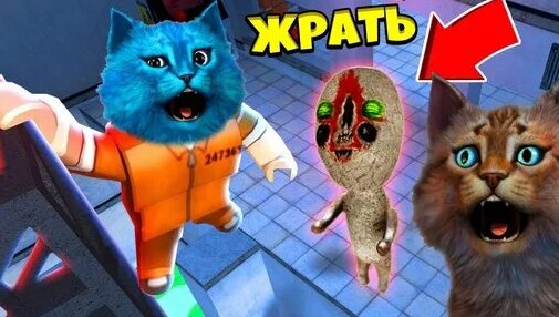 Побег ОТ Всех Scp в Страшном Лагере в Зоне 51 в Роблокс Roblox Area 51 ...