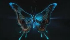 Bassnectar feat. Mimi Page - Butterfly - Смотреть онлайн в поиске ...