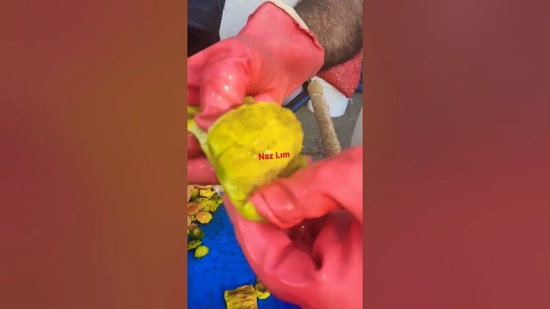 Dikenli incir nasıl soyulur ve nasıl yenir. Babutsa, kaktüs, hint ve ...