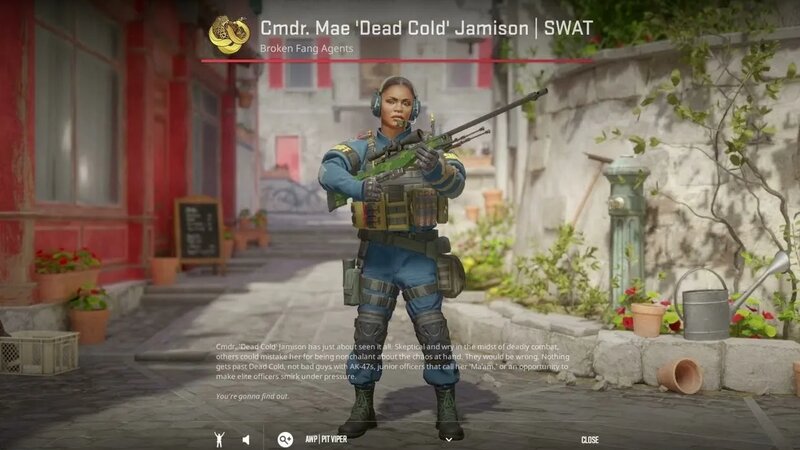 CS2 Cmdr. Mae 'Dead Cold' Jamison | SWAT - Counter-Strike 2 Agent Skin ...