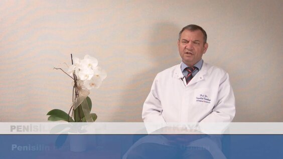 ilk penisilin: 768 video Yandex'te bulundu