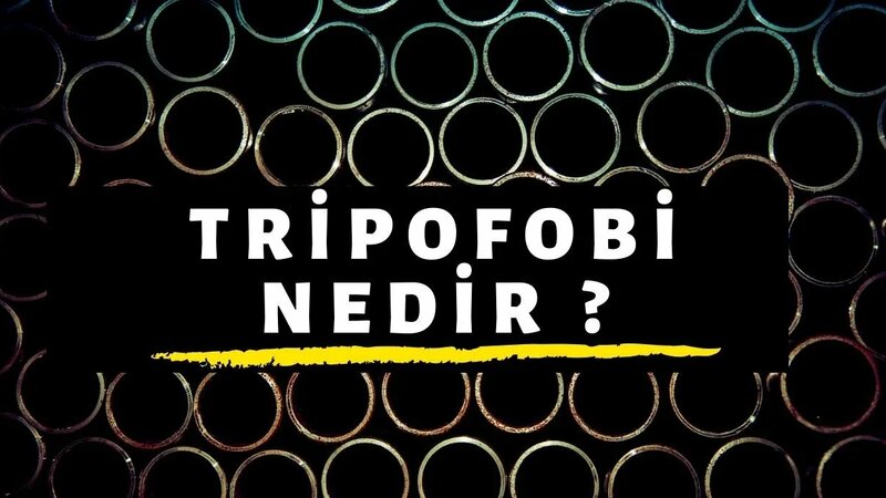 Tripofobi Nedir ? | Delik Fobisi - Yandex Video aramada çevrimiçi izle