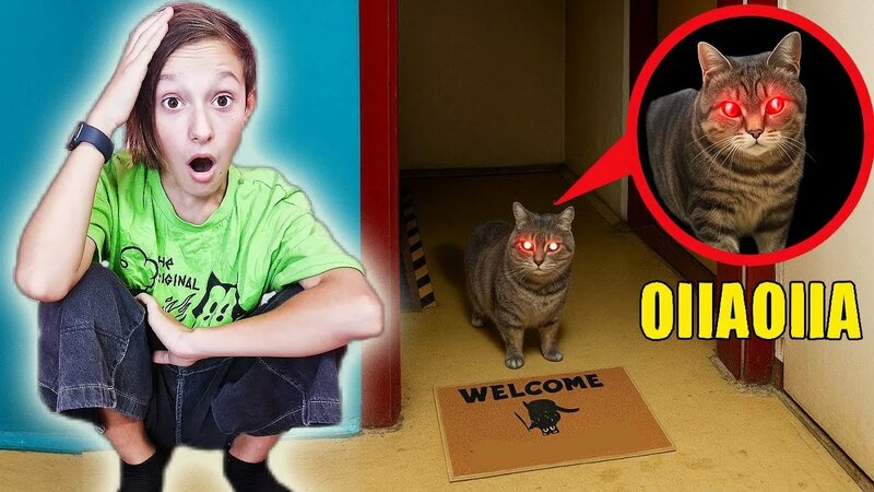 OIIA CAT из Интернета у МЕНЯ В ДОМЕ ! **проклятый кот - Смотреть онлайн ...