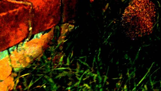 keko caps: 892 video Yandex'te bulundu