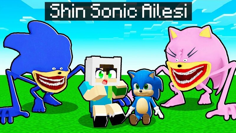 SHİN Sonic Ailesi BENİ Sahiplendi Minecraft - Yandex Video aramada ...