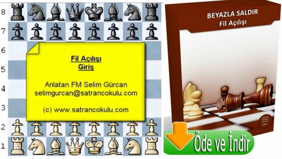 fil boyama satranç: 934 video Yandex'te bulundu