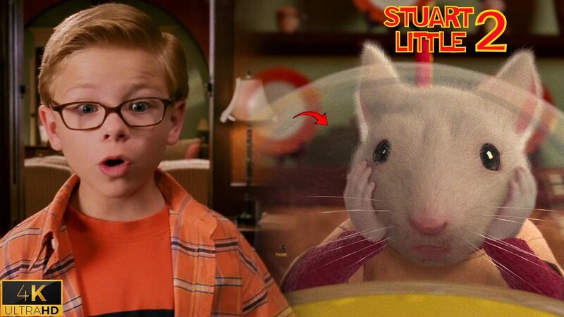 Stuart Little Car Ride & Bird Meeting Scene | Stuart Little 2 (2002 ...
