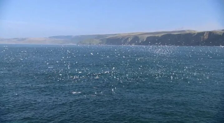 Видео BBC «Величайшие явления природы (4). Великий поток» (Познавательный, животные, 2009) | OK ...