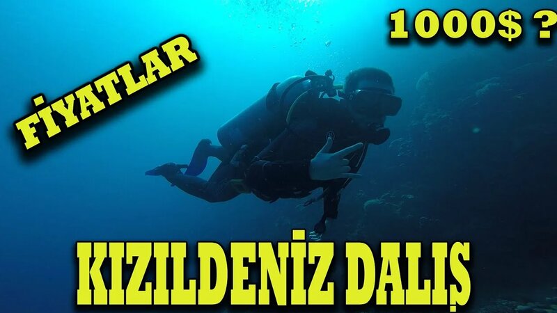 Mısır Kızıldeniz Tüplü Dalış - Lisans Fiyatlar - Scuba Diving Egypt Red ...