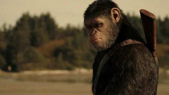 hatice aslan 3 maymun: 828 video Yandex'te bulundu