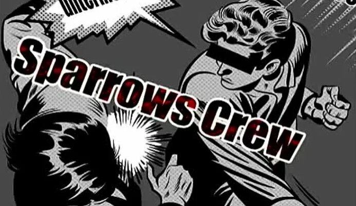 Видео Sparrows Crew - необычный день | OK.RU - Смотреть онлайн в поиске ...