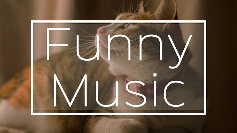 [Royalty Free] Funny background music for Animals Video, Kids Cartoons ...