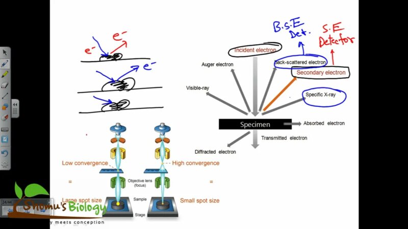 Electron microscopy lecture | Scanning electron microscope - Yandex ...