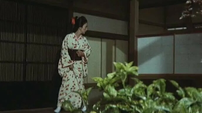 Видео Kunoichi ninpo Kannon biraki (Female Ninjas - In Bed with the ...