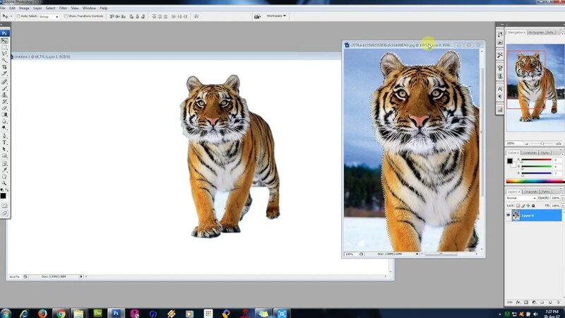 Transparent Background in Photoshop | Remove White Background From ...