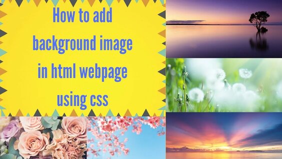 css no repeat background image: 907 video Yandex'te bulundu