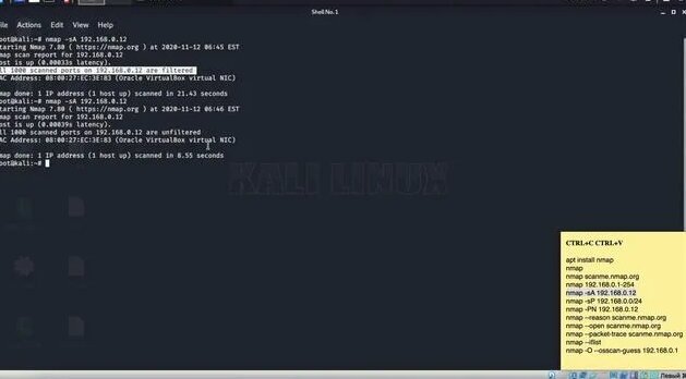 Nmap в Kali Linux. Как пользоваться? Tutorial по поиску уязвимостей ...