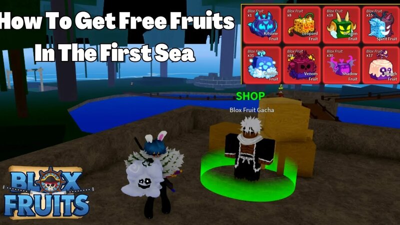 How To Get Free Fruits In The First Sea Blox Fruits - Yandex Video ...