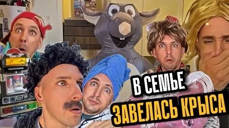 В Семье Завелась Крыса Годзилла | dikiy_vadik | Дзен - Смотреть онлайн в поиске Яндекса по Видео