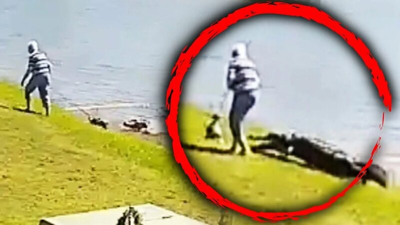 911 Call Reveals Moments After Gator Attacks Elderly Woman - Смотреть ...