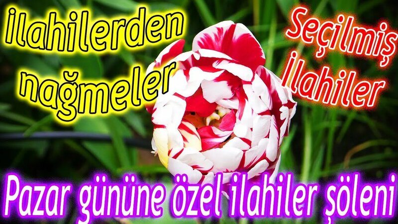 İlahi Bahçesi En Güzel İlahiler Yeni Seçilmiş İlahiler Karışık İlahiler ...