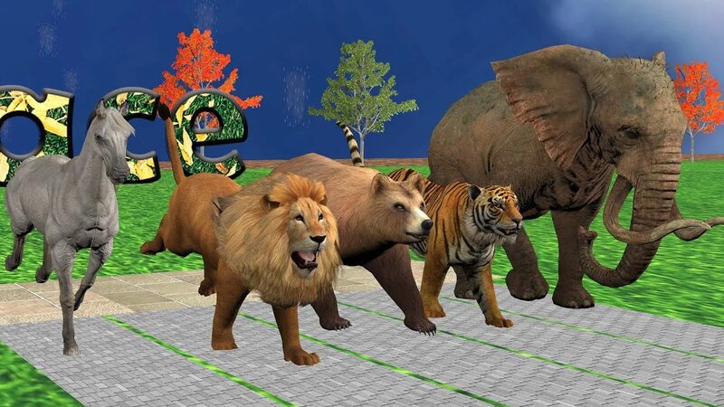 Wild Animal Race in Rainy Day, Horse, Lion, Tiger, Bear, Elephant