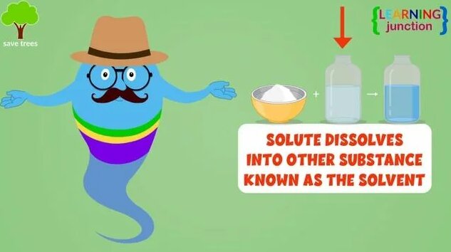 Solute, solvent and solution | What is a Solution? | Science Video for ...