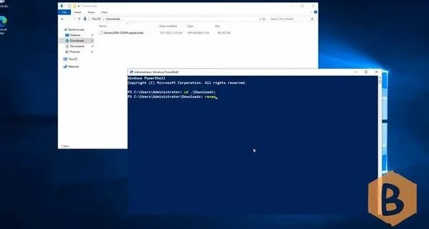 How to Install WSL on Windows Server 2019 | Run Linux on Windows Server ...