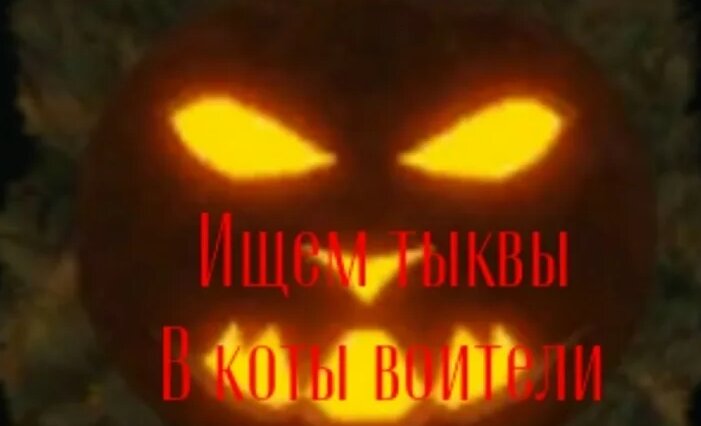 ищем тыквы;в коты воители Wkue! — Видео от искра коты воители ...