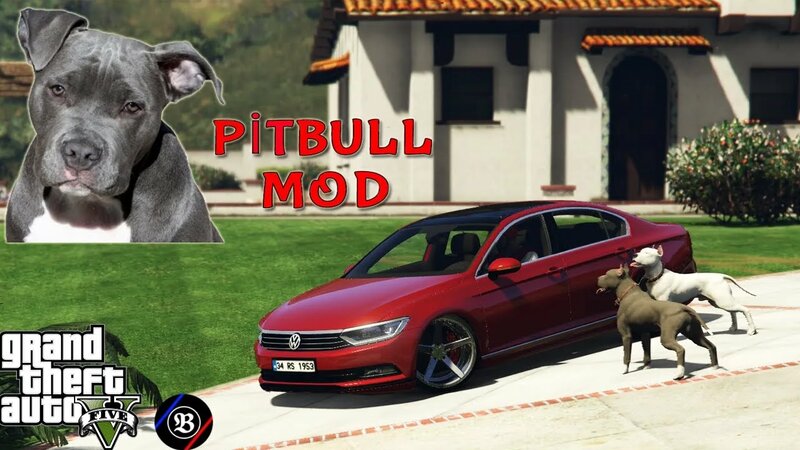 GTA 5 Pitbull MODU Nasil Kurulur ? (GTA 5 Gerçek Hayat)|4K - Yandex ...