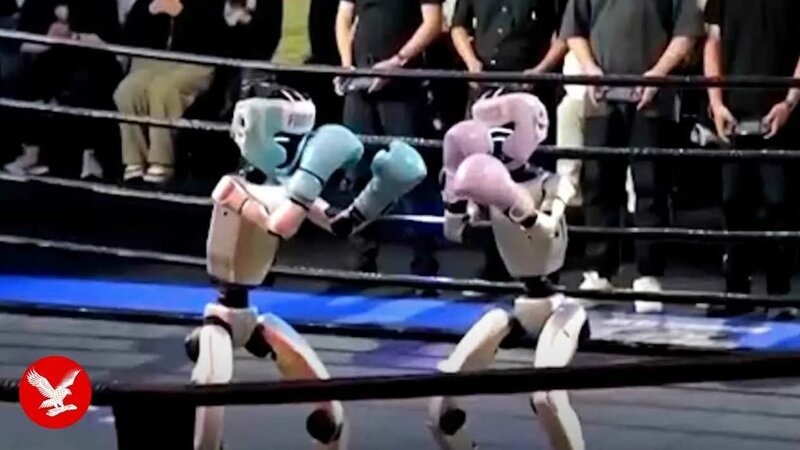 World’s first robot kickboxing tournament held in China - Yandex Video ...