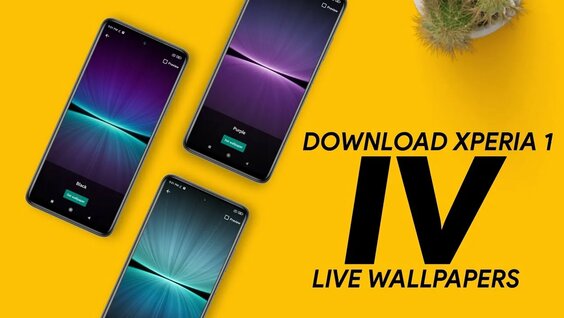 canlı duvar kağıdı apk: 965 video Yandex'te bulundu