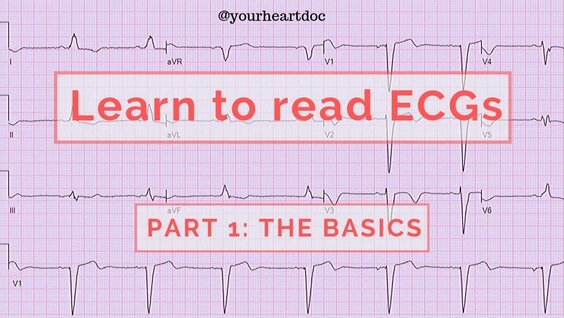How to read an ECG / EKG Part 1. The Basics of understanding an ...